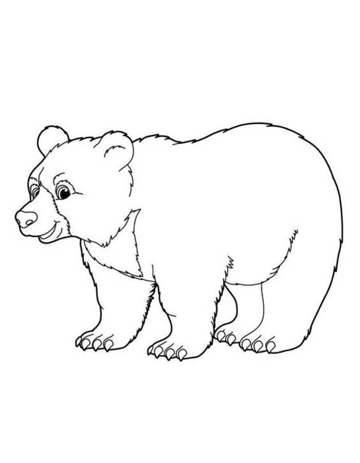 Bear coloring pages (Free Printable PDF)