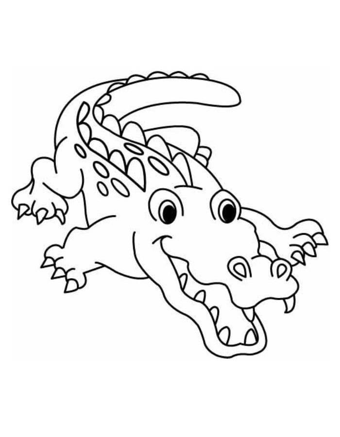 Crocodile Coloring Pages (Free Printable PDF)