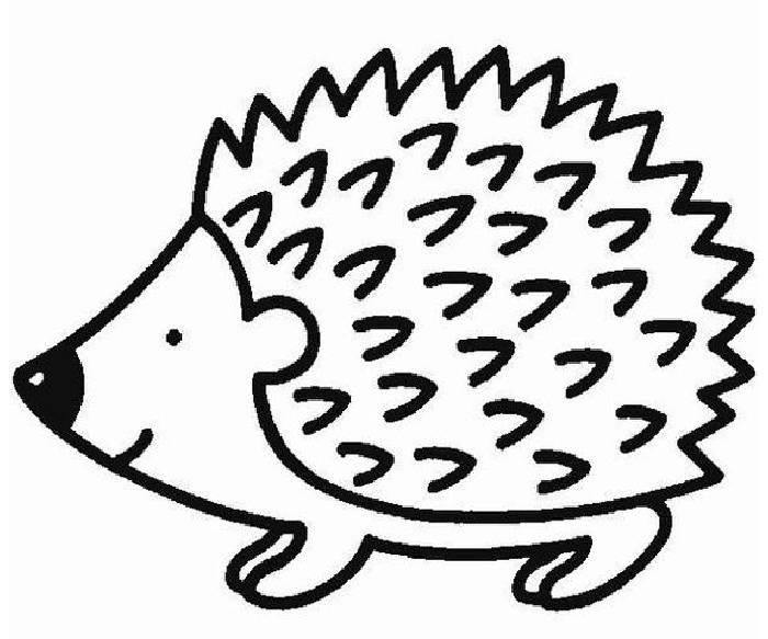 Hedgehog Coloring Pages (Free Printable PDF)