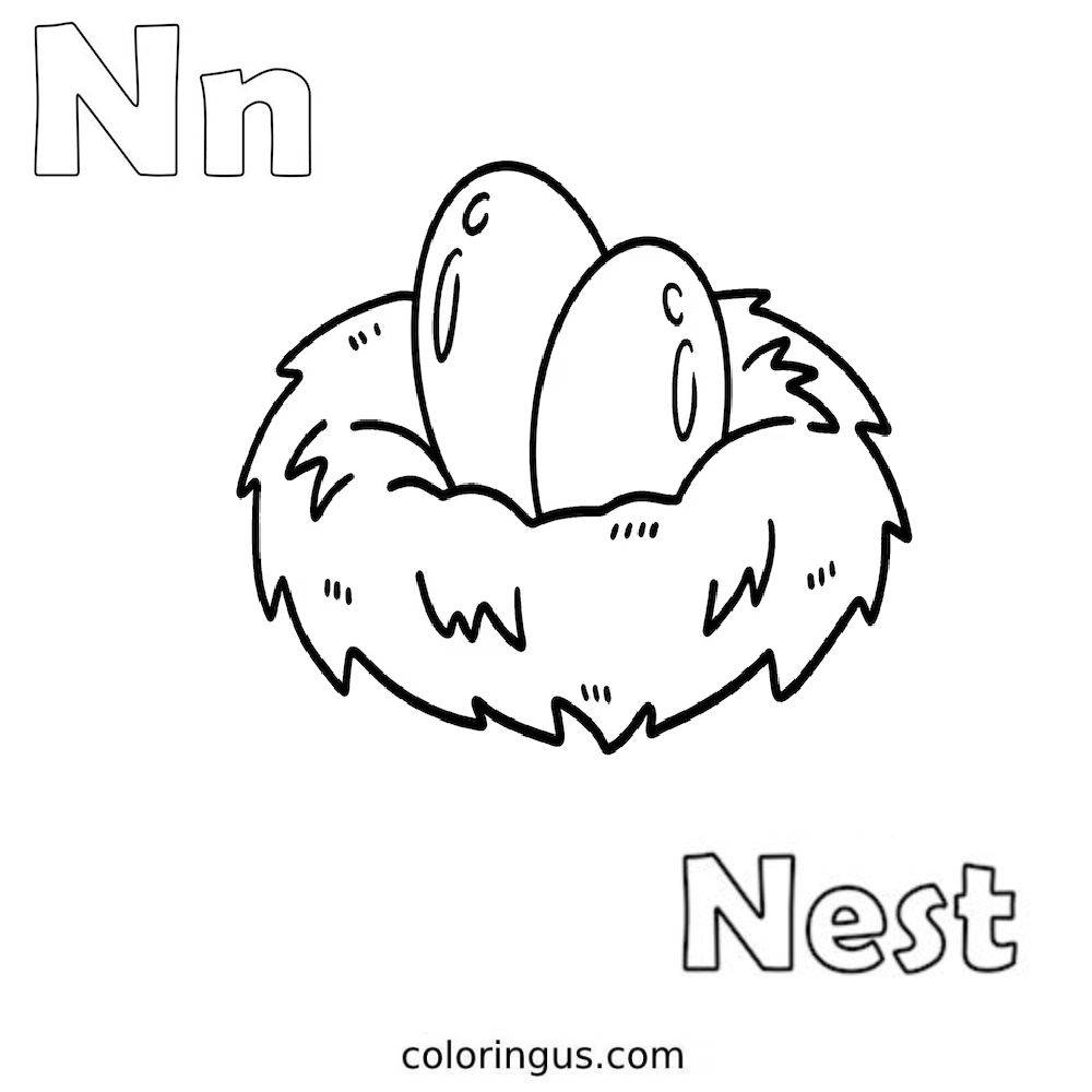 Letter N Coloring Pages (Free Printable PDF)