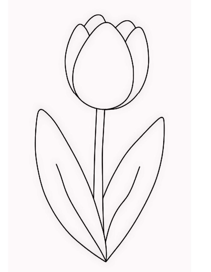 Tulip Coloring Pages (Free Printable PDF)
